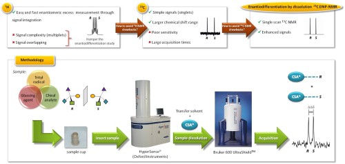 Poster presentation at 4th International DNP Symposium | SeRMN – NMR ...