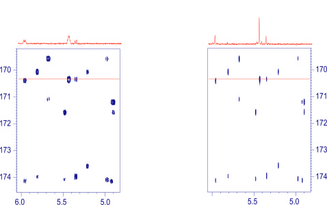 Implementing homo- and heterodecoupling in region-selective HSQMBC ...